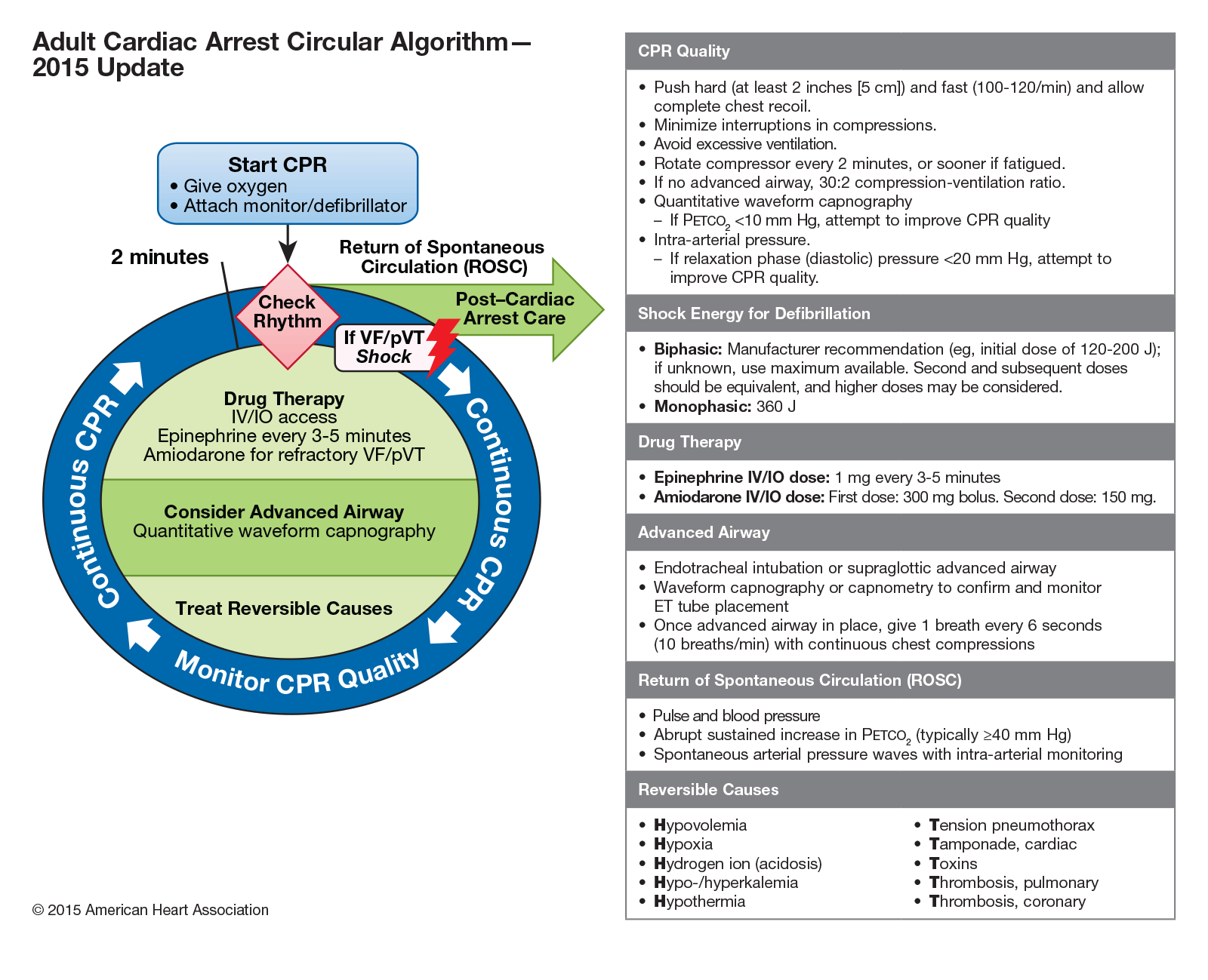 2010-Integrated_Updated-Circulation-ACLS-Cardiac-Arrest-Circular ...